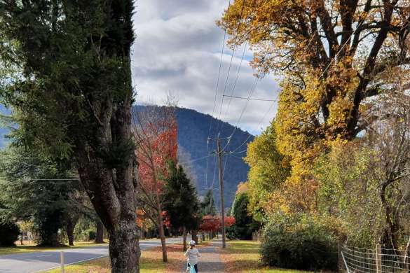 Bridgestone - Spring TX Neighborhood | Jo & Co.