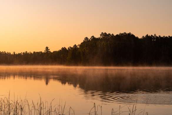 Silver Creek Ranch - Montgomery TX Neighborhood | Jo & Co.