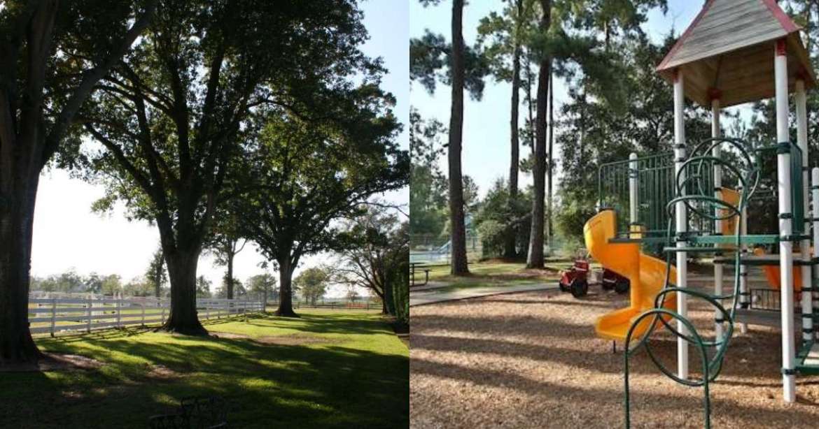 Why You Should Move to Spring TX - Your Resource for Relocating to ...
